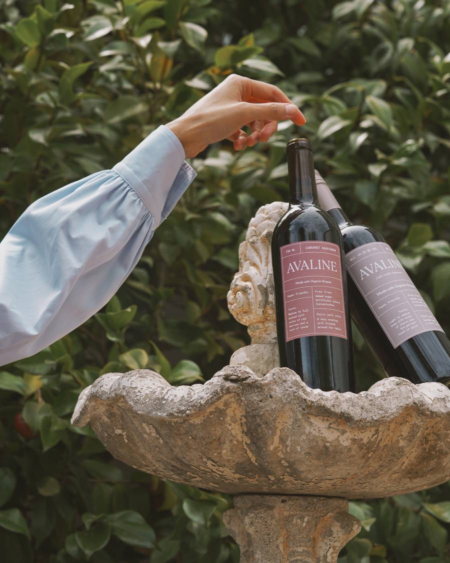 Best Organic Wine Brand | A New Standard in Wine | Avaline