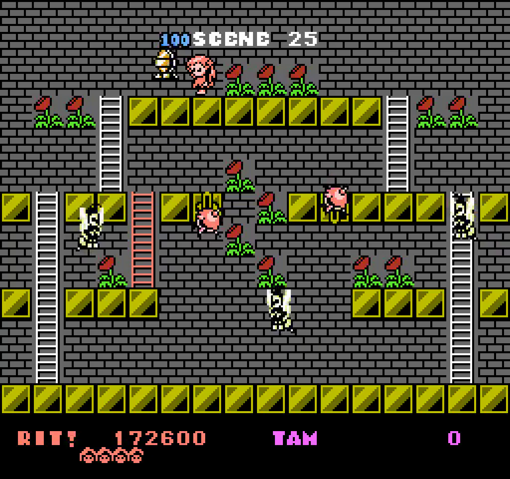 Rod Land Collector's Edition (NES) – Limited Run Games