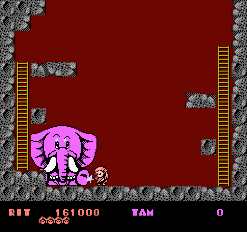 Rod Land Collector's Edition (NES) – Limited Run Games