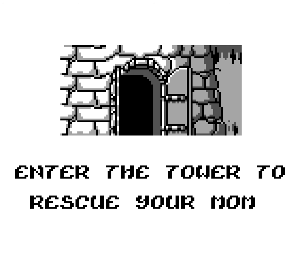 Rod Land Collector's Edition (Game Boy) – Limited Run Games