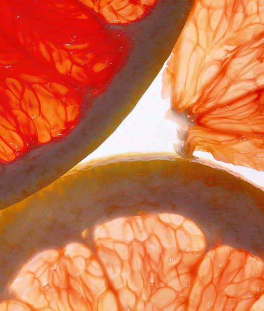 Better Booch Organic Kombucha | Brewed in Los Angeles, CA