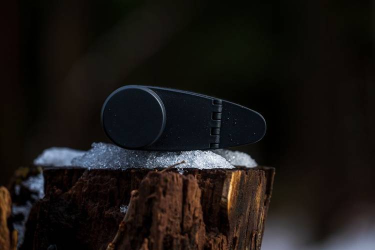 MiiR x Carryology Flask – MiiR.com