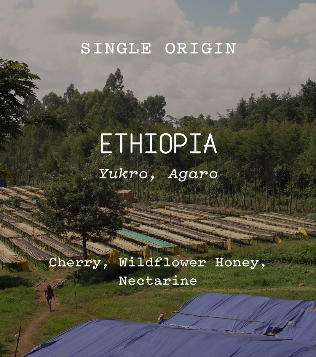 Sightglass Coffee