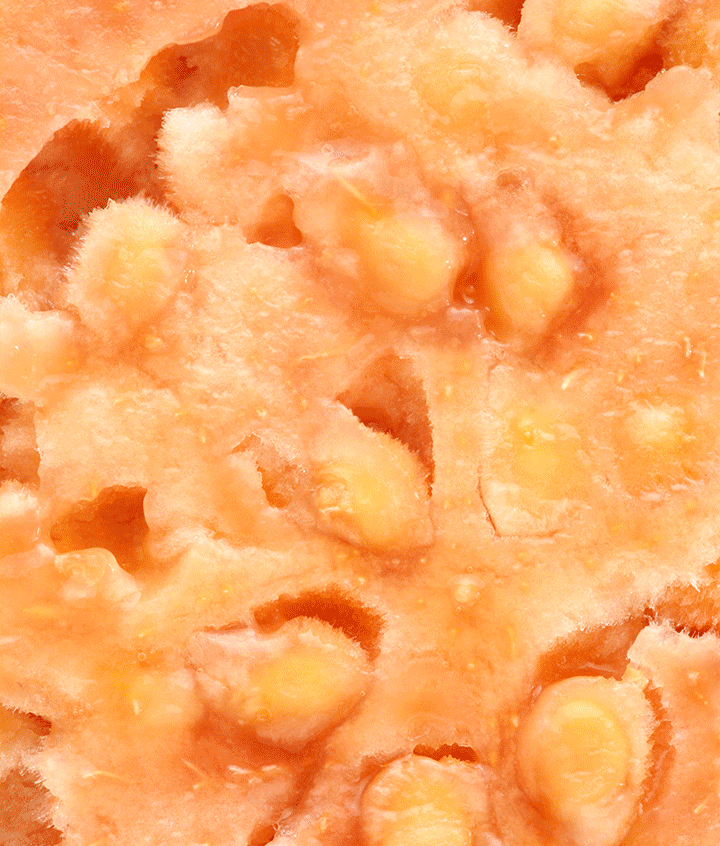 Better Booch Organic Kombucha | Brewed in Los Angeles, CA