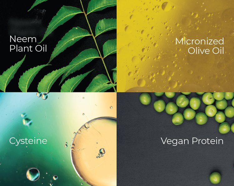 Neem Plant Detangling Primer – L'ANZA